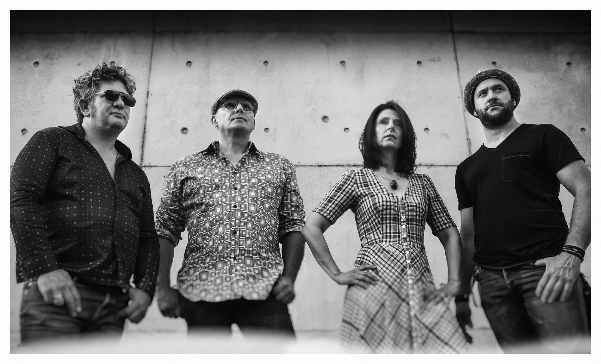 Zenith | Boek je op Rent a Band